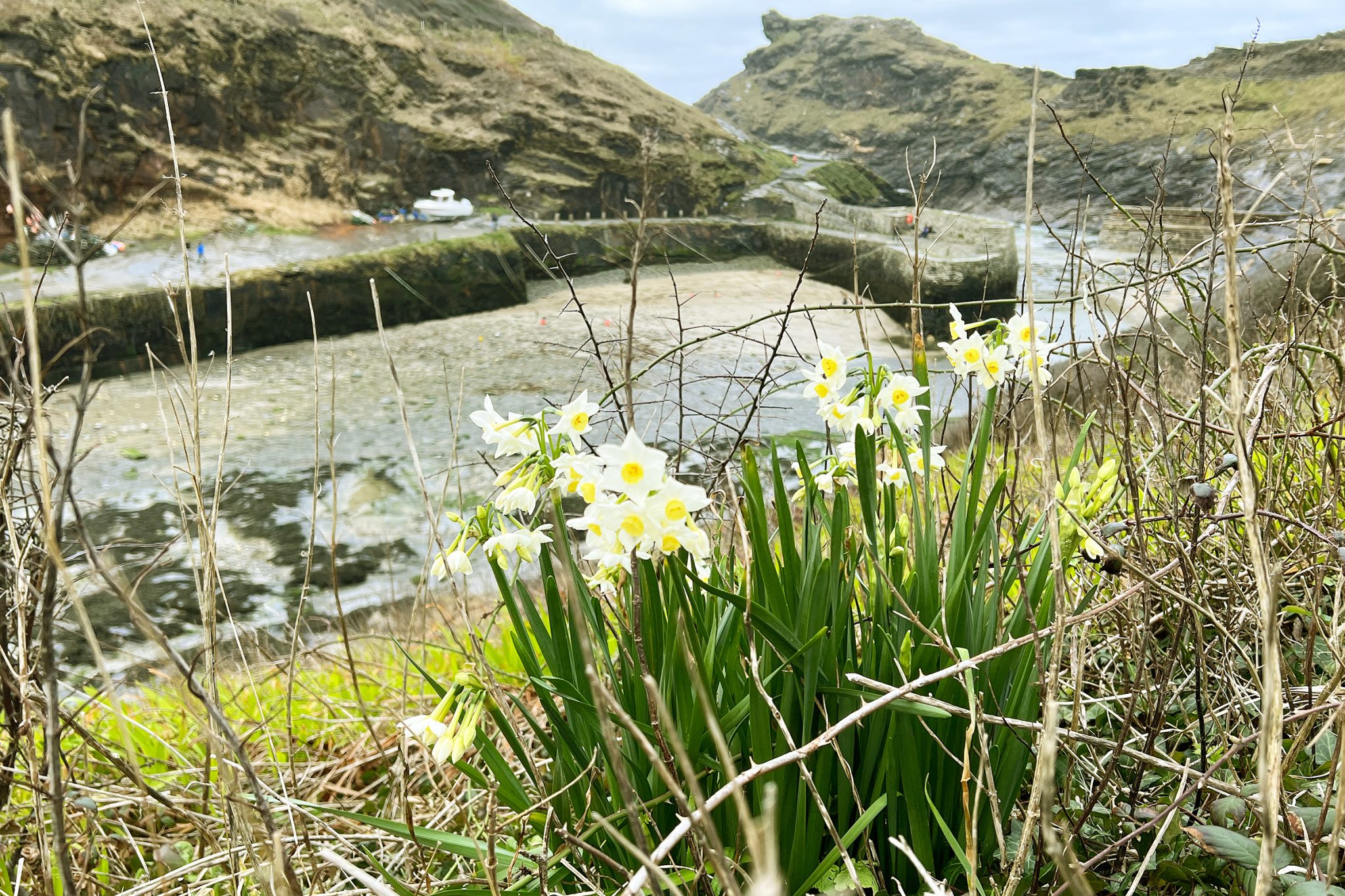 Signs of Spring - Dog friendly cottages | Helsbury Park