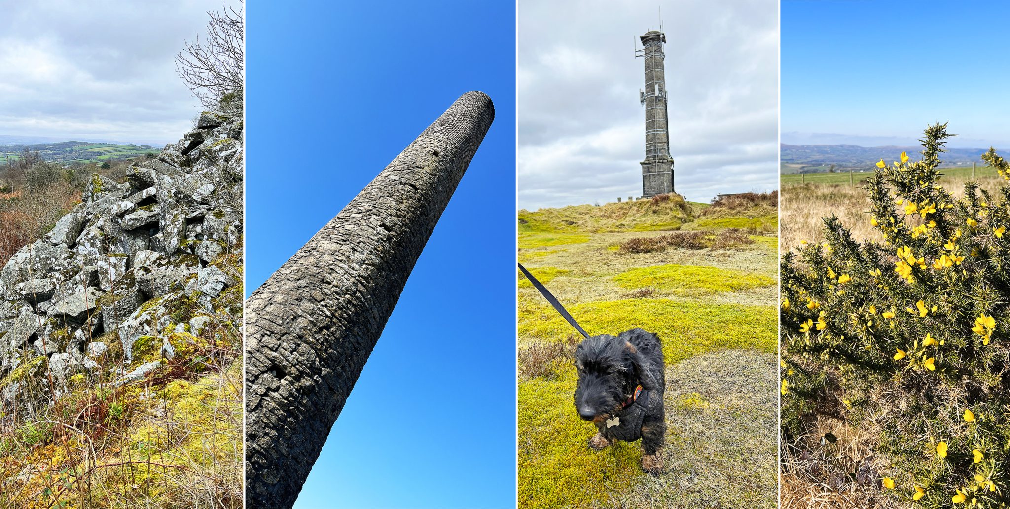 Kit Hill - Doggie Day Out - Dog friendly cottages | Helsbury Park